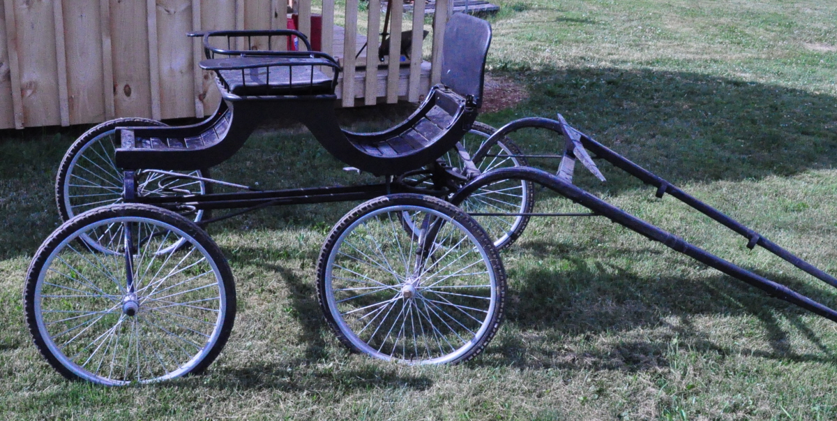 The Canadian Hackney Society